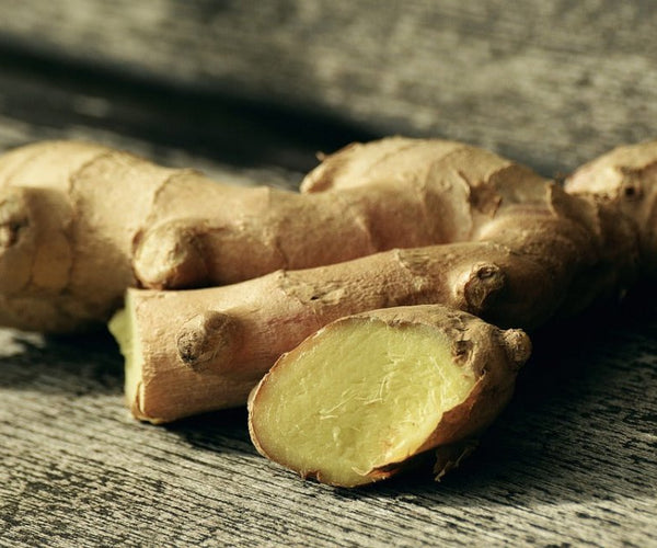 Abscess Root: Traditional Uses vs. Modern Science - Unveiling the ...