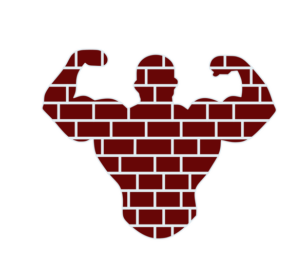 Choosing the Best Protein Powder for Building Muscle: A Comprehensive ...