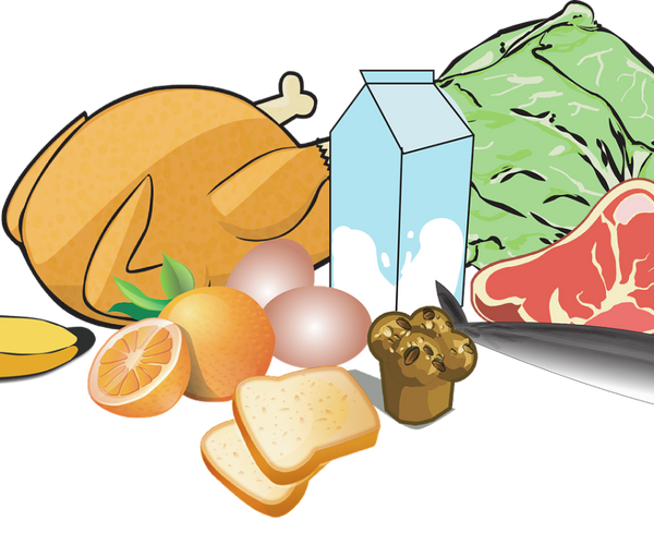 Protein Quality: Different Protein Sources – Genetic Nutrition