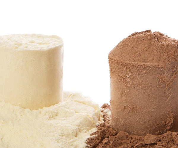 Understanding the Differences and Benefits of Whey Protein Types: WPC ...