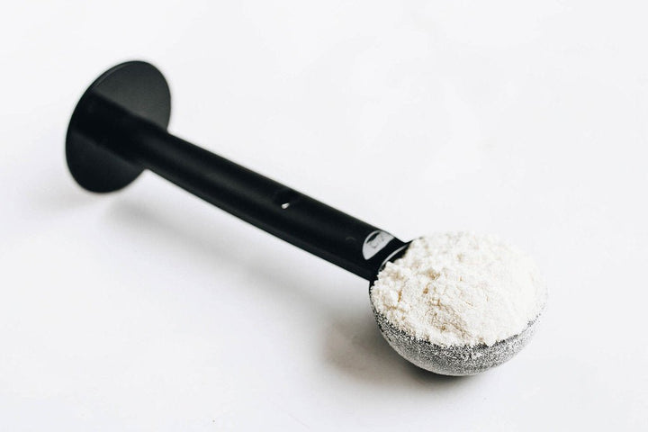 Protein Powder Ingredients – A Comprehensive Diet-Planning Guide ...